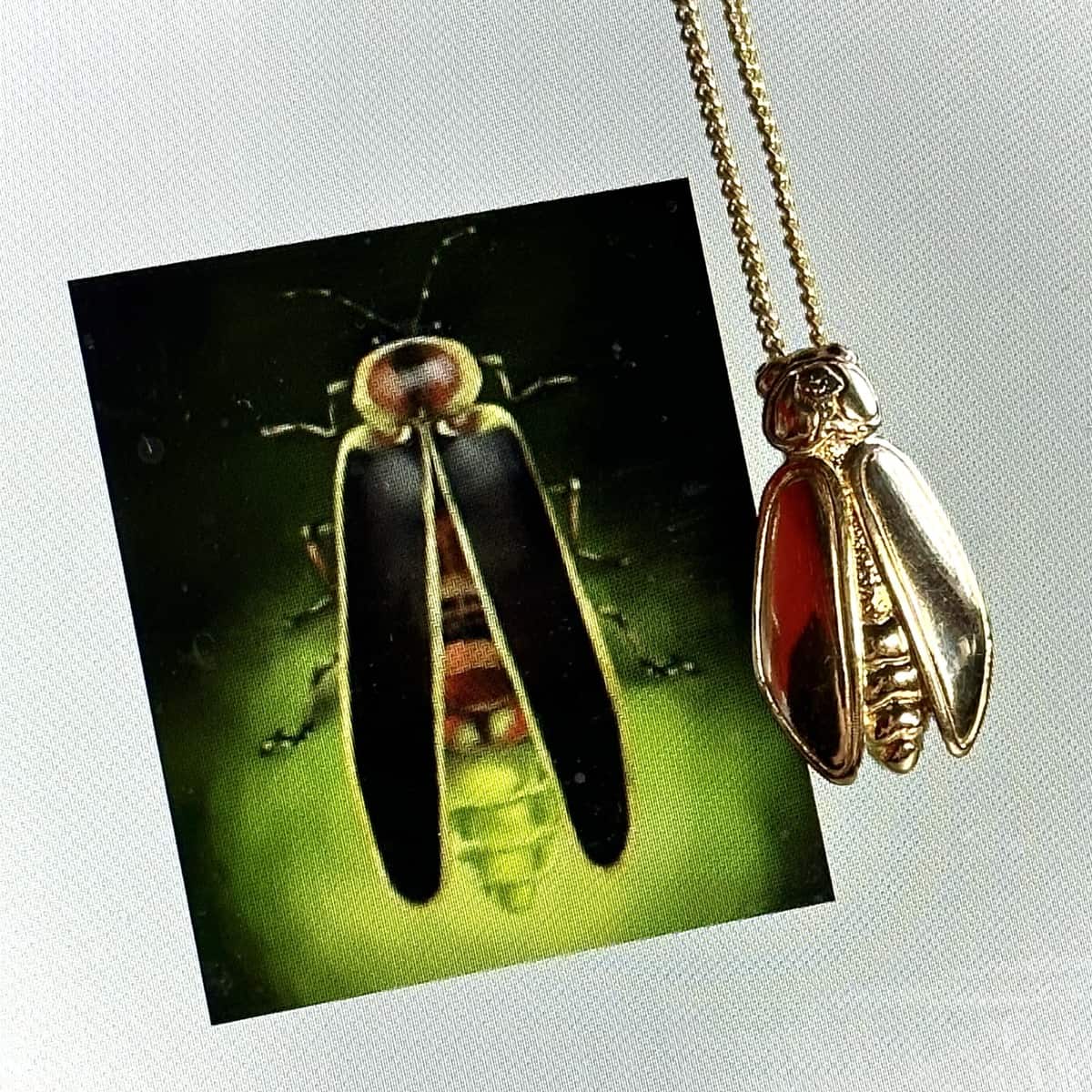 Lies, Lightning Bugs & Life Trajectories – A Nice World